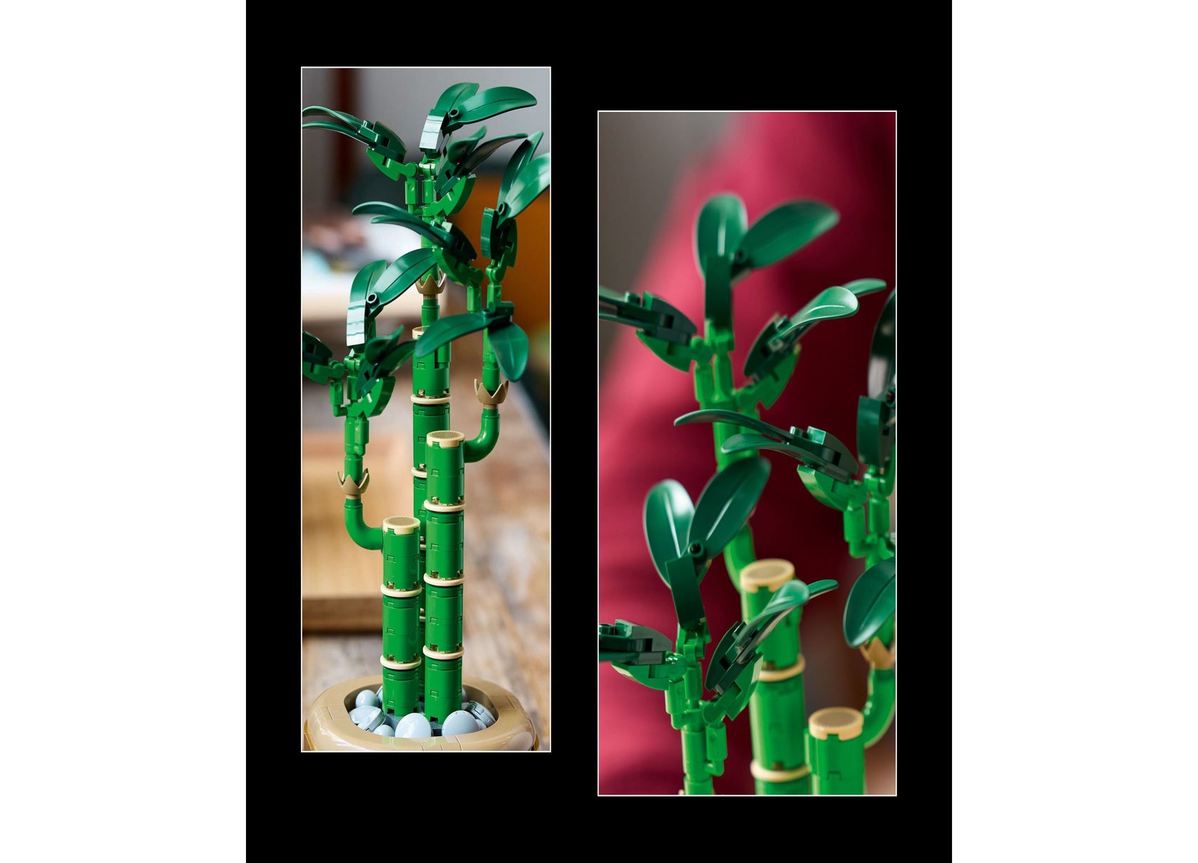 LEGO Botanicals Lucky Bamboo Building Set 10344, 325 Pieces – Toys"R"Us