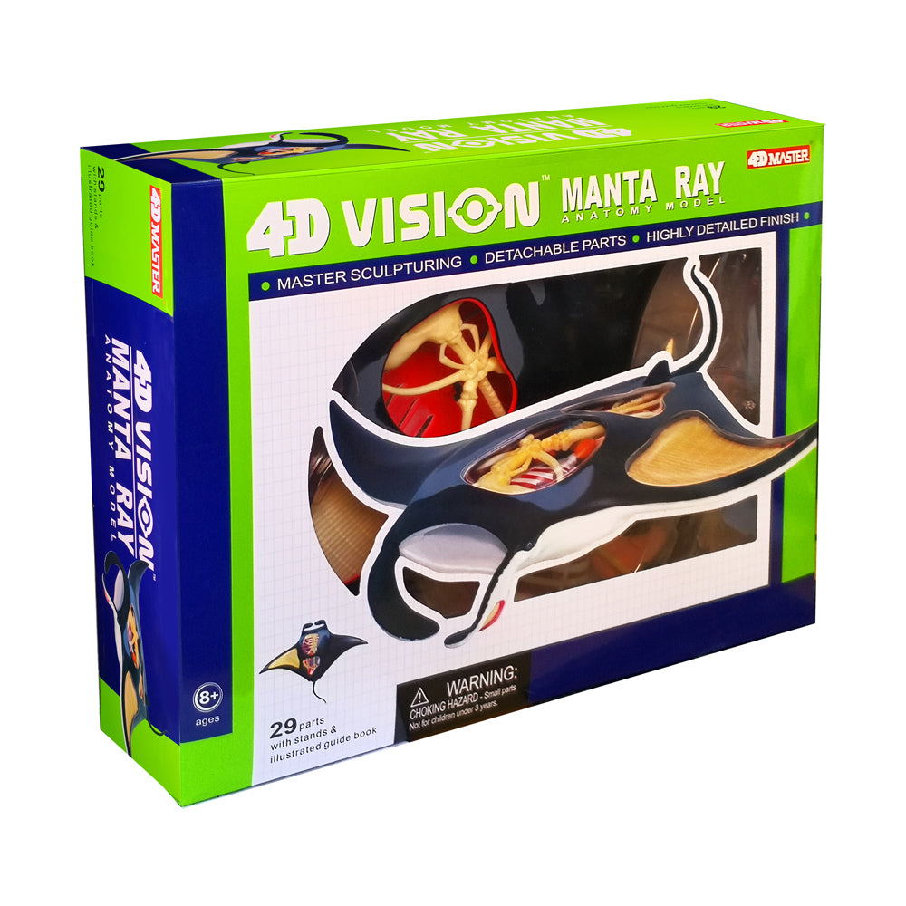 4D Master Manta Ray Anatomy Model Kit – Toys"R"Us